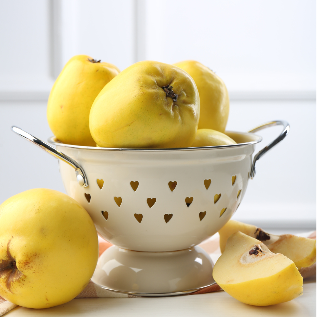 QUINCE SEASON IS HERE – DON’T MISS OUT ON THIS GOLDEN GEM