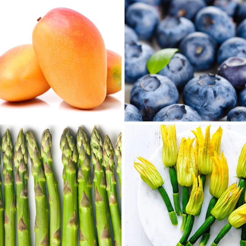 WHAT’S IN SEASON IN OCTOBER