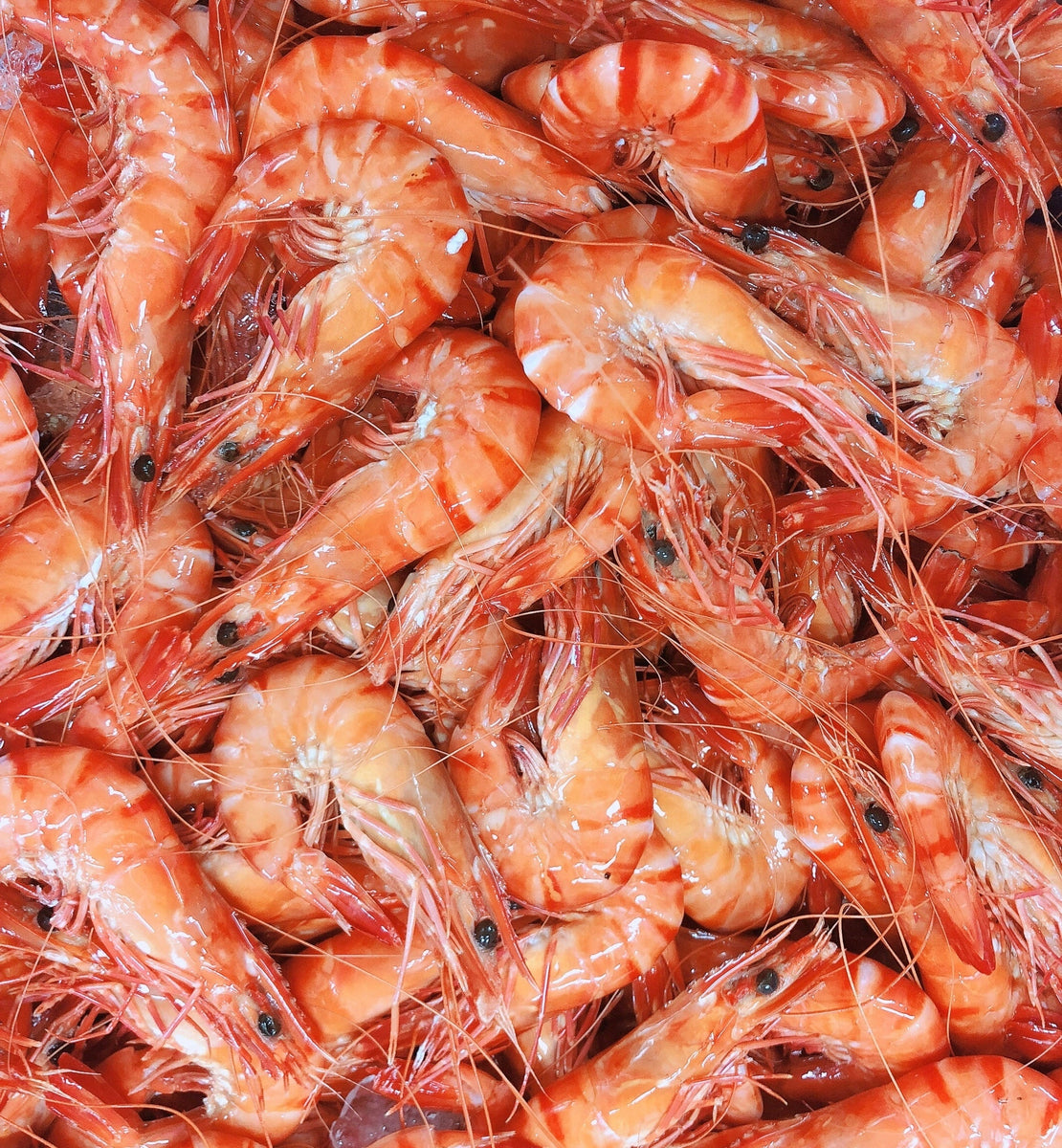 Large Cooked Tiger Prawns (Min 500g)