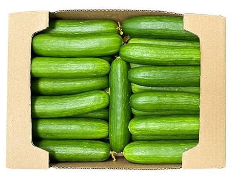 BOX BUY Cucumber 9kg